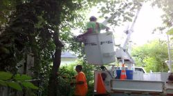 EHAP – Electrical Hazards Awareness Program | Think Safety Always