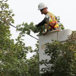 EHAP – Electrical Hazards Awareness Program | Think Safety Always